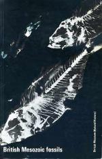 „British Museum [ed ]“ – Bücher gebraucht, antiquarisch & neu kaufen