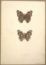 „Bergner, Jakob Christian Und Meley“ – Bücher gebraucht, antiquarisch ...