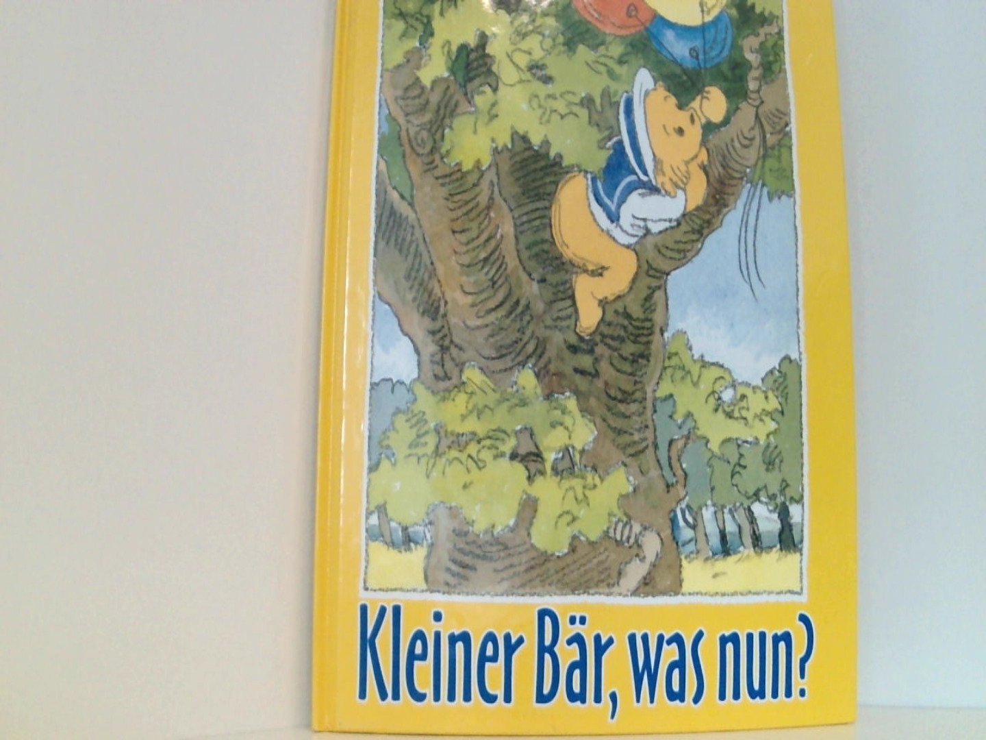 „Martin Waddell/Virginia Miller (Illustr, Kleiner Bär was nun“ – Bücher ...