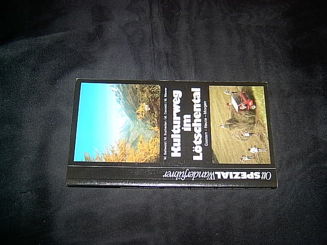 „Bellwald Werner U A“ – Bücher gebraucht, antiquarisch & neu kaufen