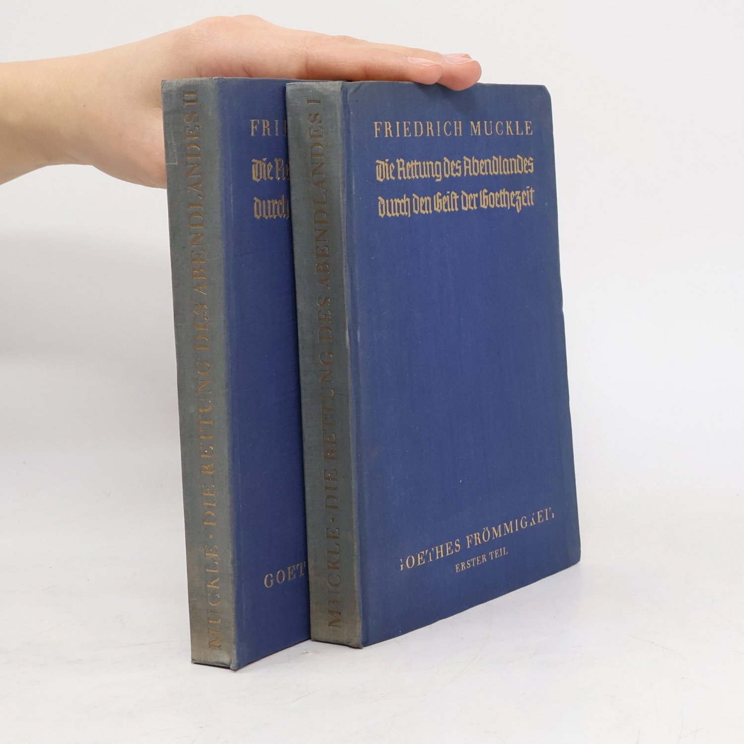 „Die Rettung des Abendlandes durch den Geist der Goethezeit ...