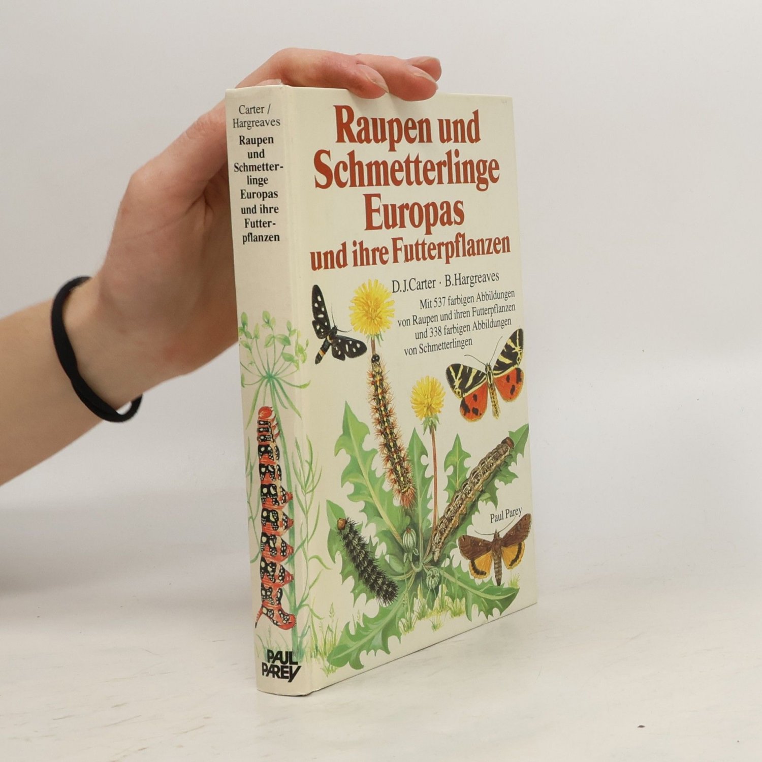 „Raupen und Schmetterlinge Europas und ihre Futterpflanzen“ (David J ...