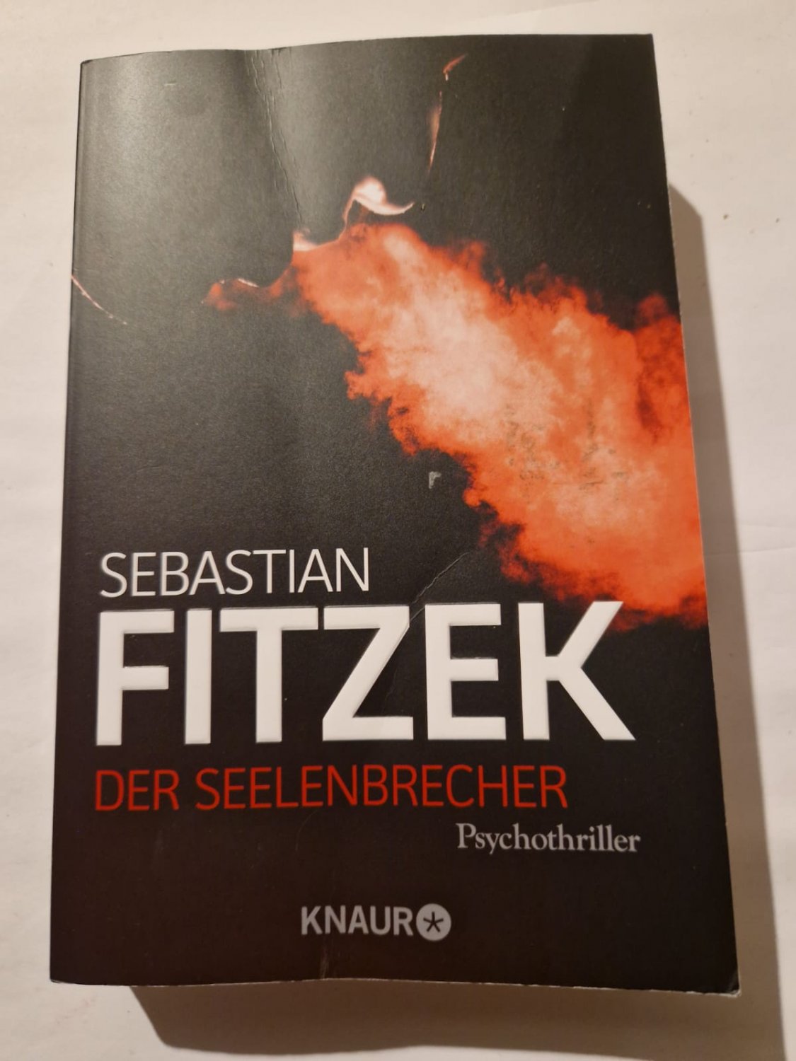 „Der Seelenbrecher Psychothriller | Psychologisch wie Die …“ (Sebastian ...