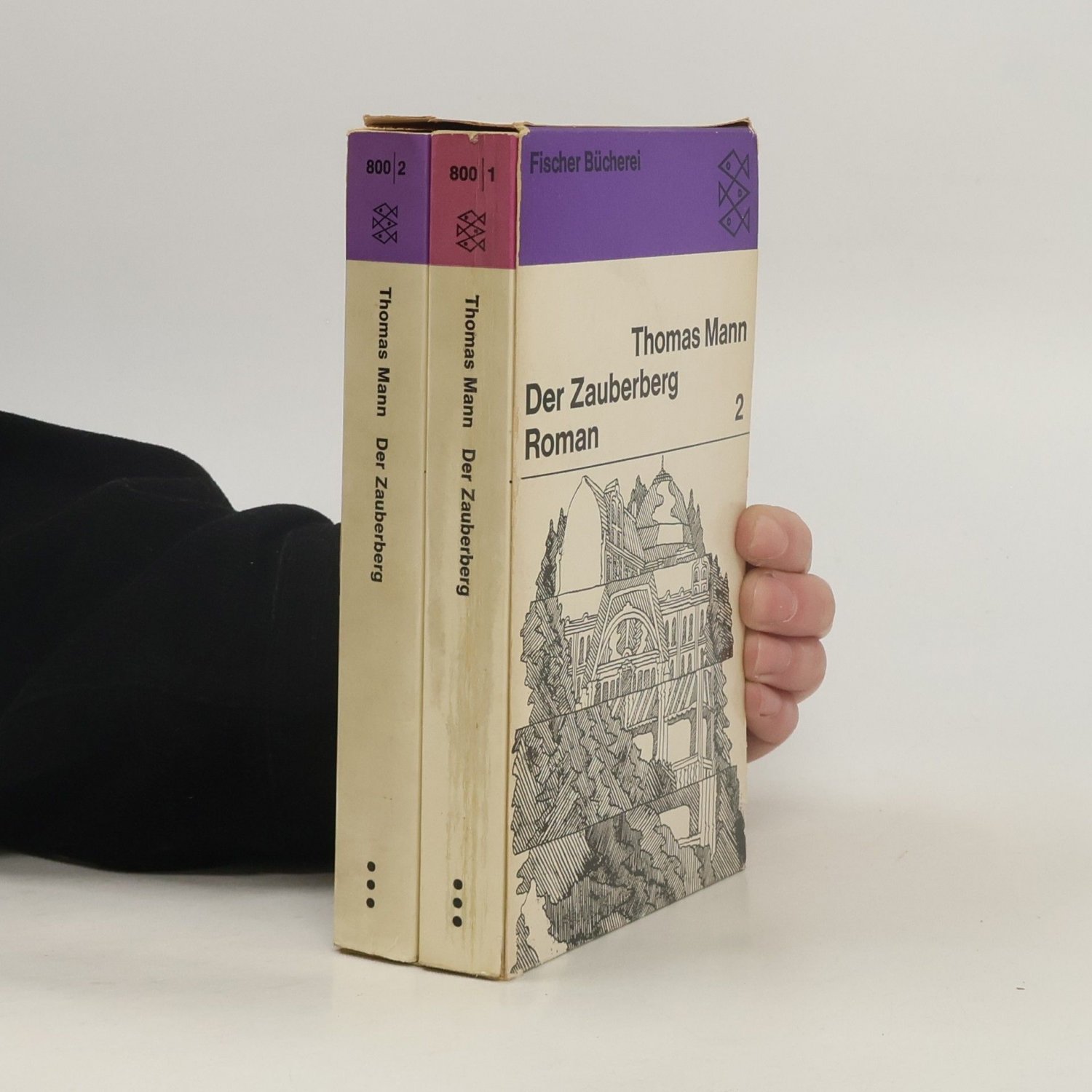 „Der Zauberberg 1-2“ (Thomas Mann) – Buch gebraucht kaufen – A02NDhlW01ZZz