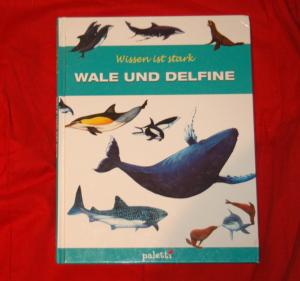 „Wissen ist stark "Wale und Delfine" / Delphine Wal Delphin …“ – Buch ...