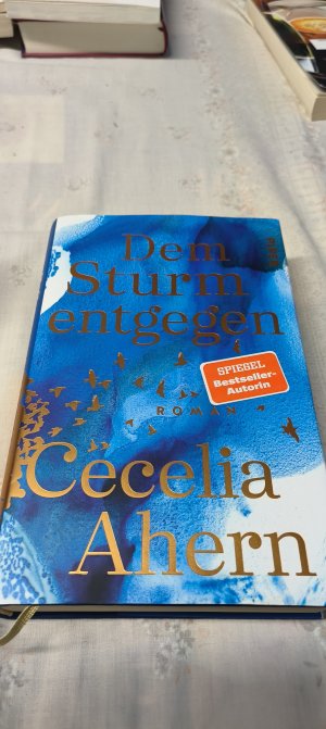 „Cecelia Ahern, Dem Sturm entgegen – Roman | Der neue Roman von ...