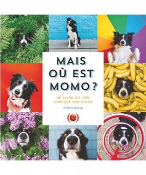 „Mais où est Momo ?“ – Bücher gebraucht, antiquarisch & neu kaufen