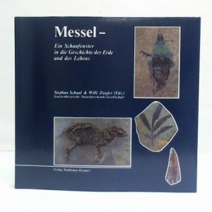 ISBN 3782911113 "Messel" – gebraucht, antiquarisch & neu kaufen