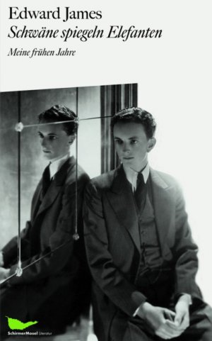 „Schwäne spiegeln Elefanten Mein Leben als reiches Kind“ – Bücher ...