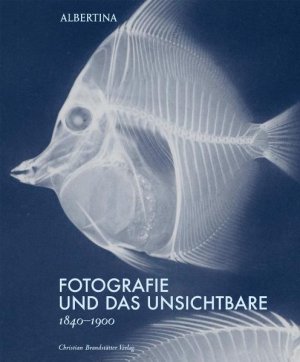 „JENNIFER TUCKER; TOM GUNNING“ – Bücher gebraucht, antiquarisch & neu ...