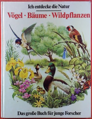 „Ich entdecke die Natur - Vögel, Bäume, Wildpflanzen“ – Bücher ...