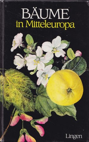 „Höll, Wolfgang“ – Bücher gebraucht, antiquarisch & neu kaufen