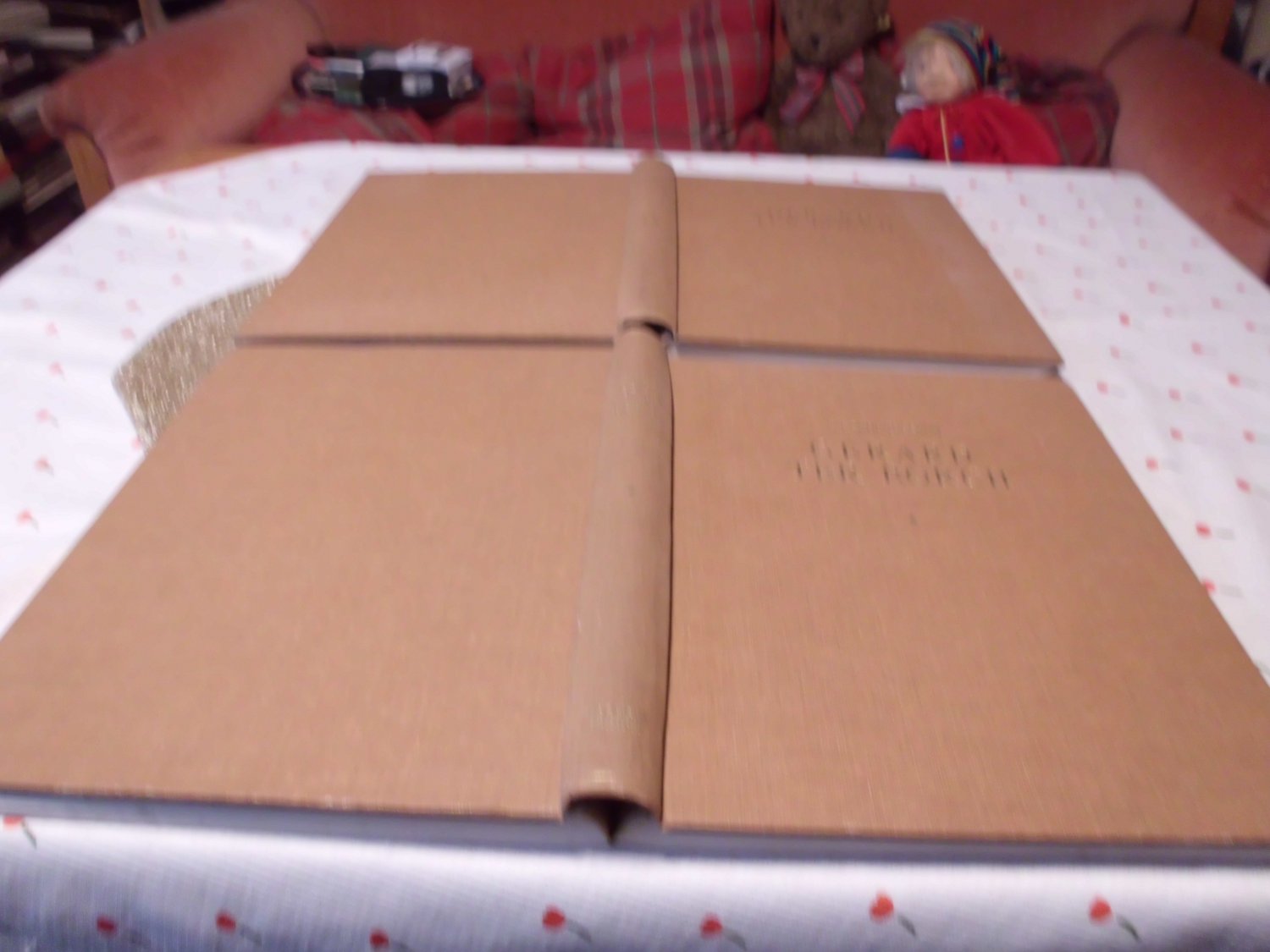 „Gerard ter Broch 2 Bände“ – Bücher gebraucht, antiquarisch & neu kaufen