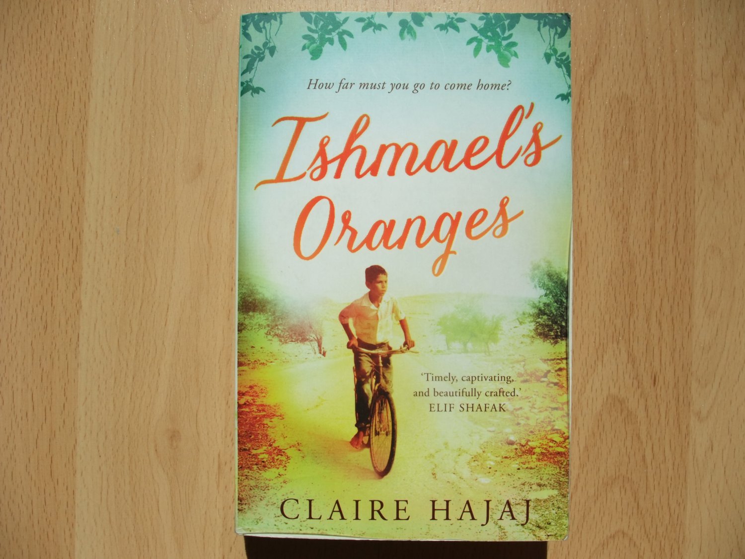 „Claire Hajaj, Ishmael's Oranges“ – Bücher gebraucht, antiquarisch ...