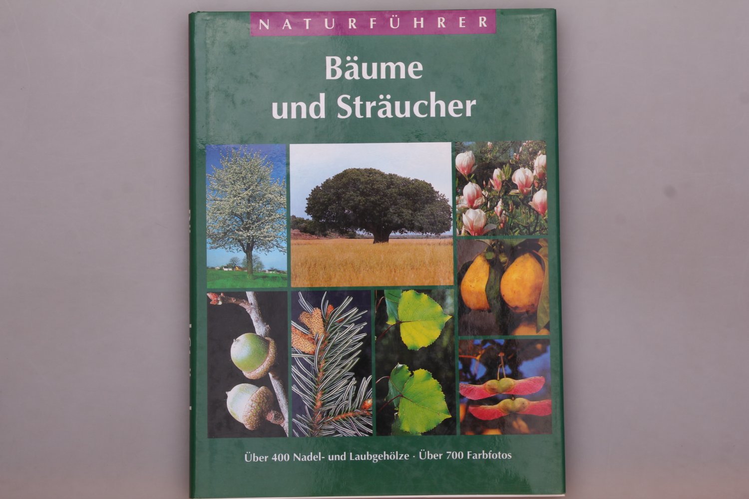 „Hrsg.]: Kremer, Dr. Bruno P.“ – Bücher gebraucht, antiquarisch & neu ...