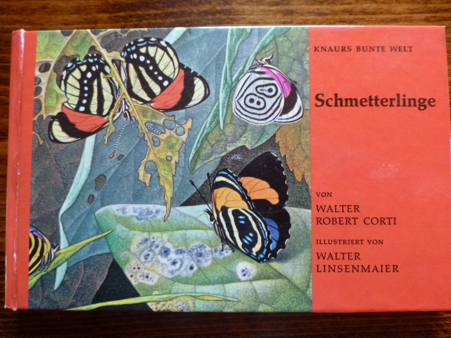 „Schmetterlinge = KNAURS BUNTE WELT“ – Bücher gebraucht, antiquarisch ...