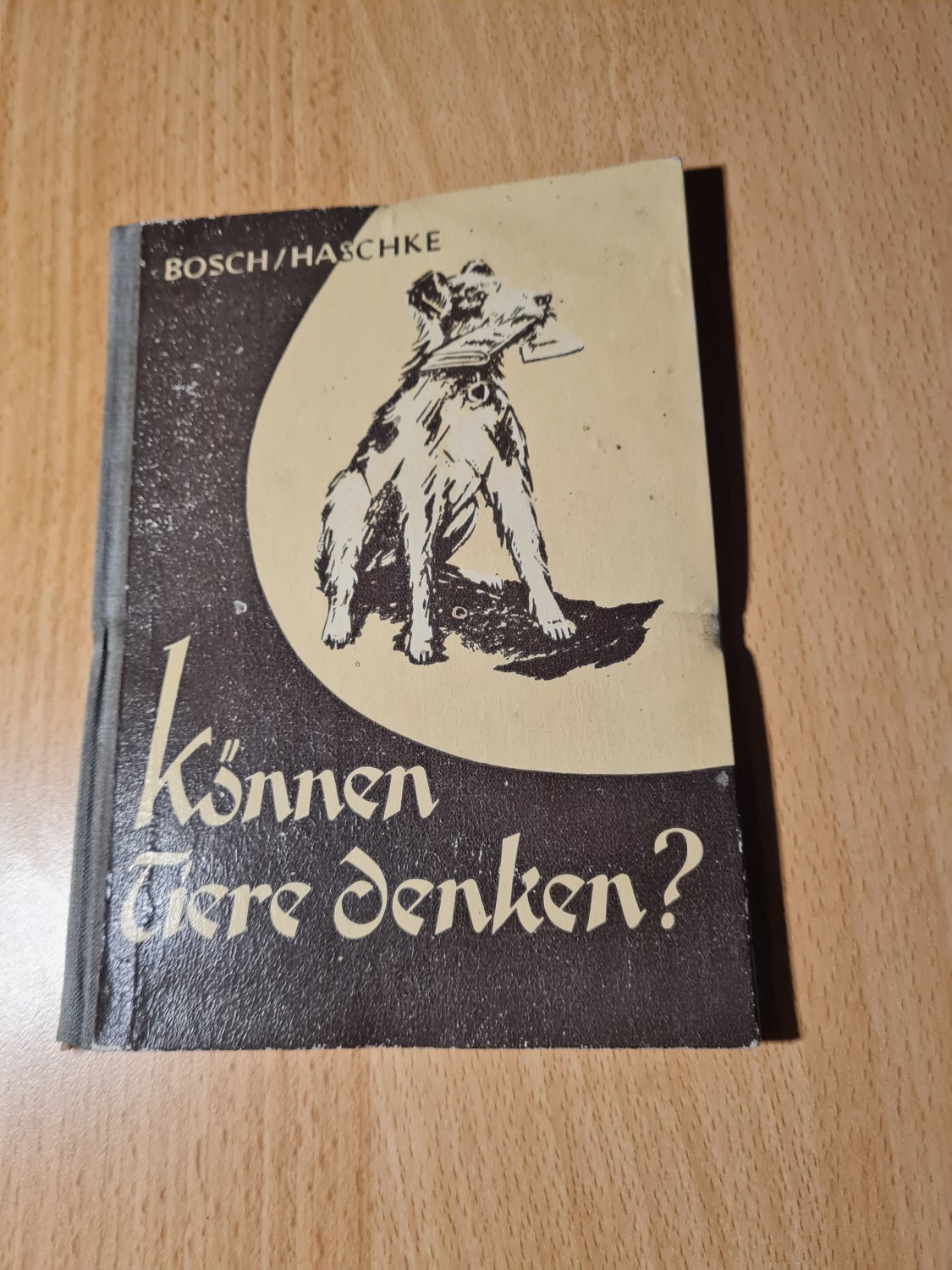 „Können Tiere denken?“ – Bücher gebraucht, antiquarisch & neu kaufen