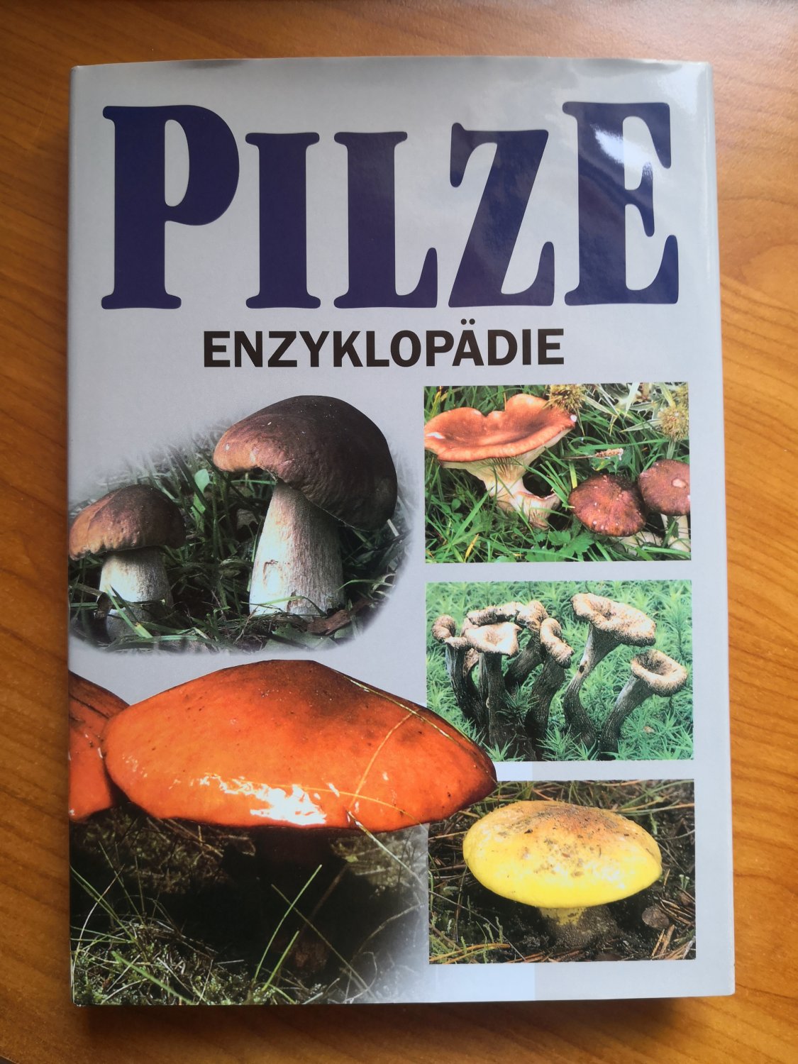 „Keizer, Gerrit J“ – Bücher gebraucht, antiquarisch & neu kaufen