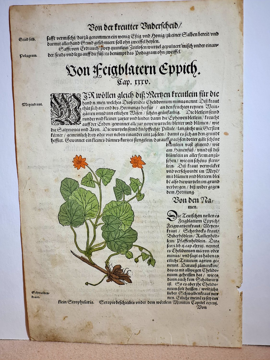 „Kandel, David;: Bock“ – Bücher gebraucht, antiquarisch & neu kaufen