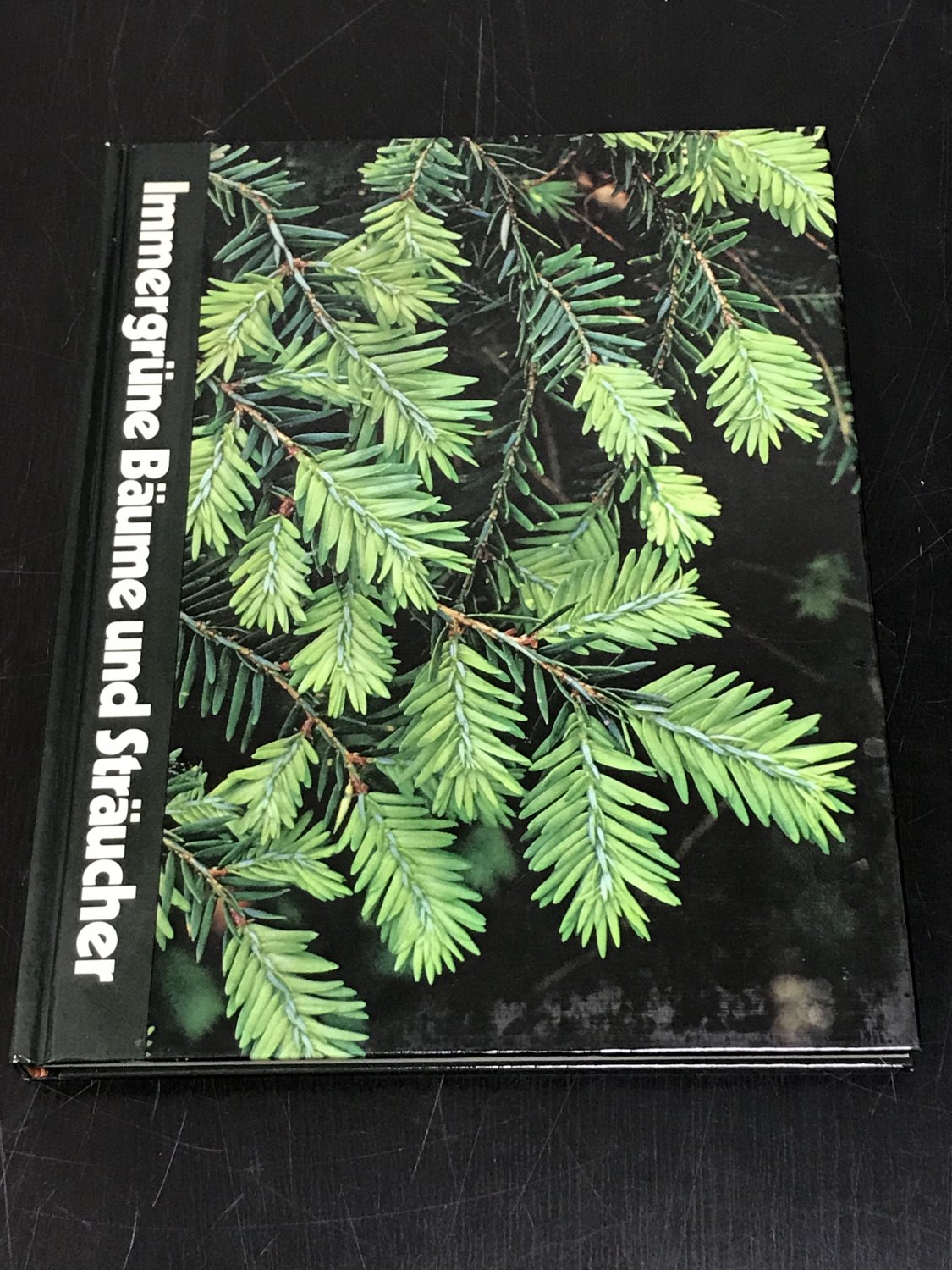 „Nadelhölzer / Lexikon“ – Bücher gebraucht, antiquarisch & neu kaufen