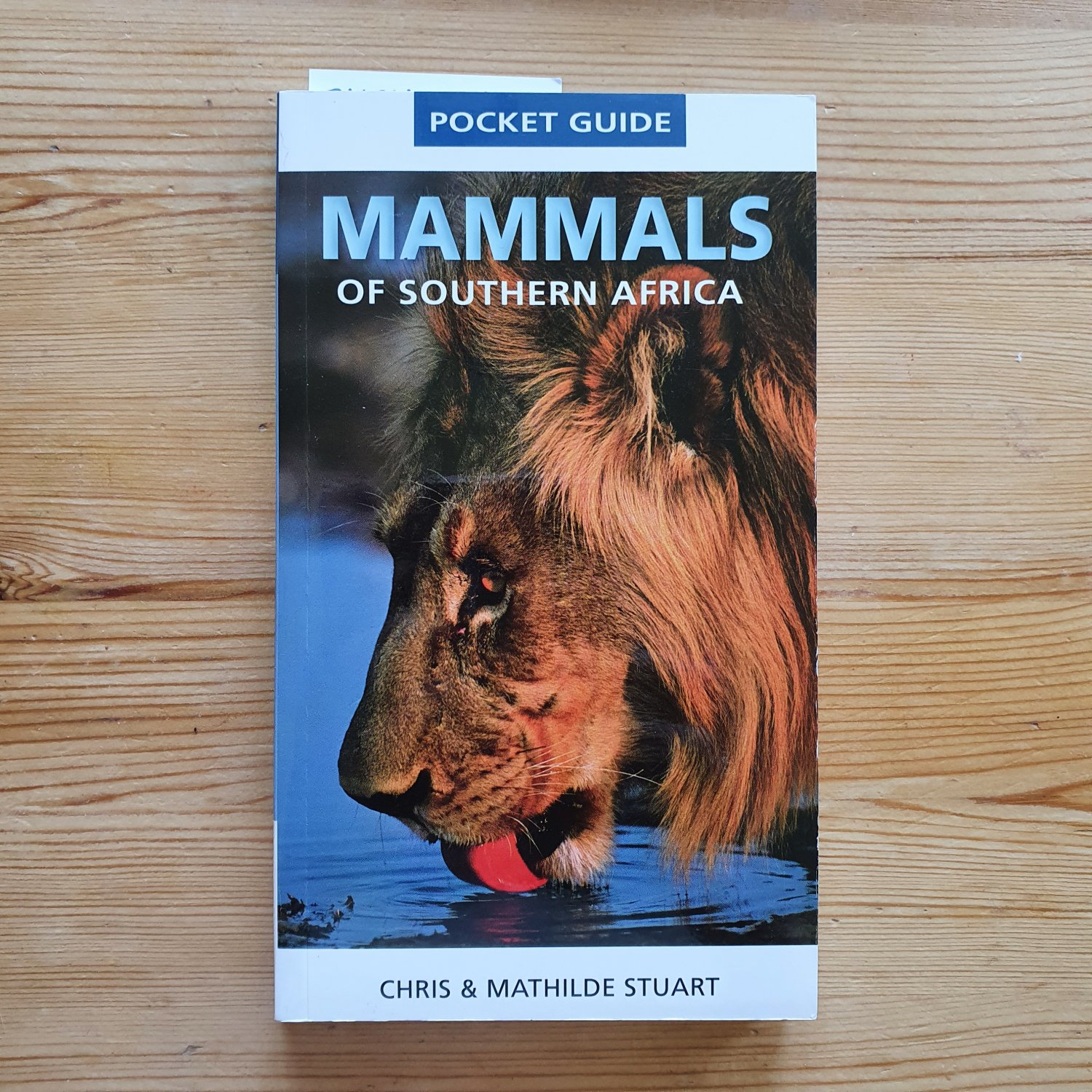 „Stuart, Mathilde; Stuart“ – Bücher gebraucht, antiquarisch & neu kaufen