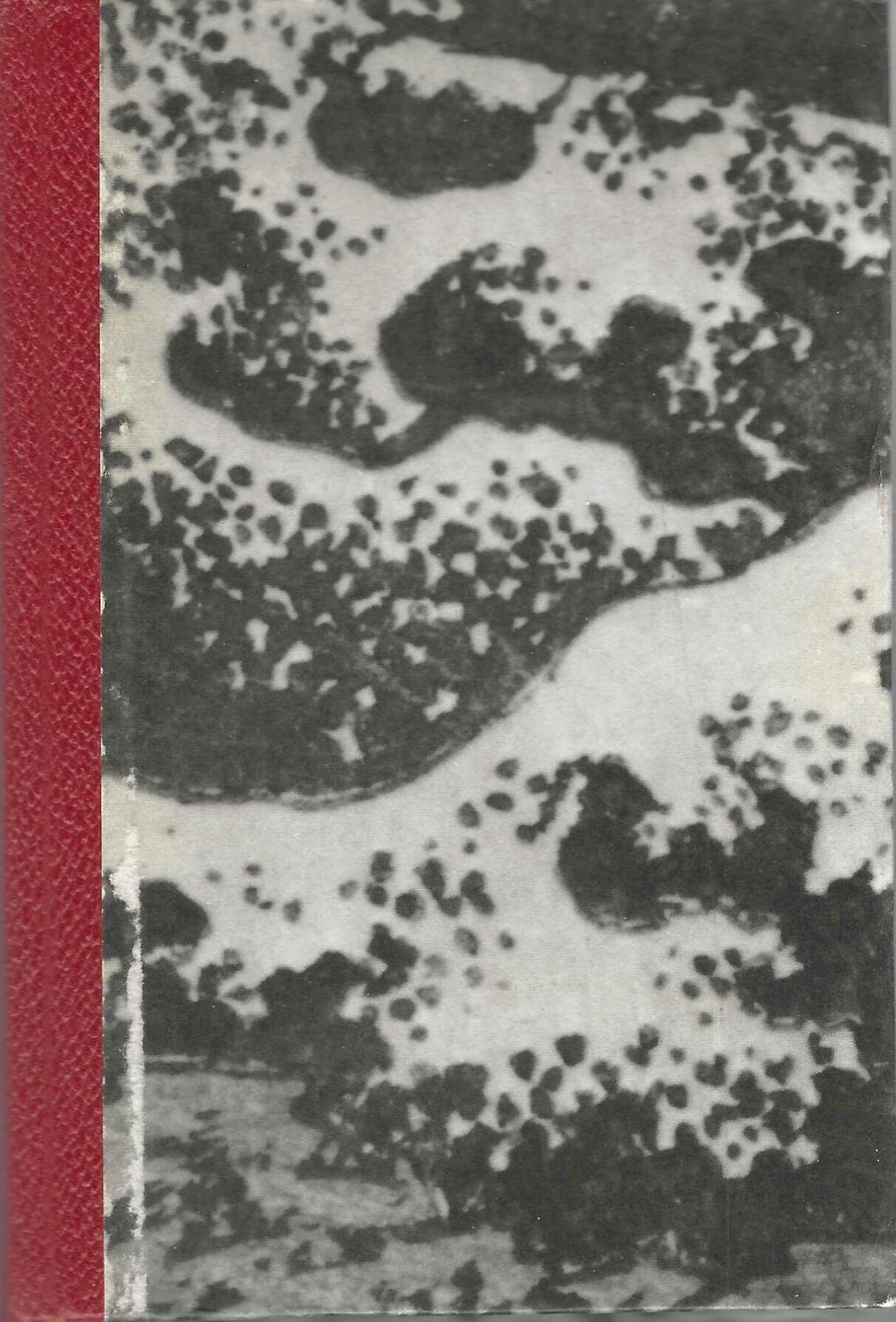 „Die springende Flut“ (Pearl S. Buck) – Buch gebraucht kaufen ...