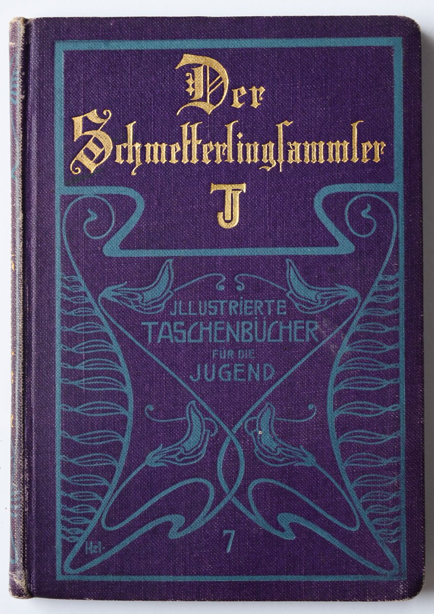 „Der Schmetterlingssammler“ (Alexander Bau) – Buch gebraucht kaufen ...