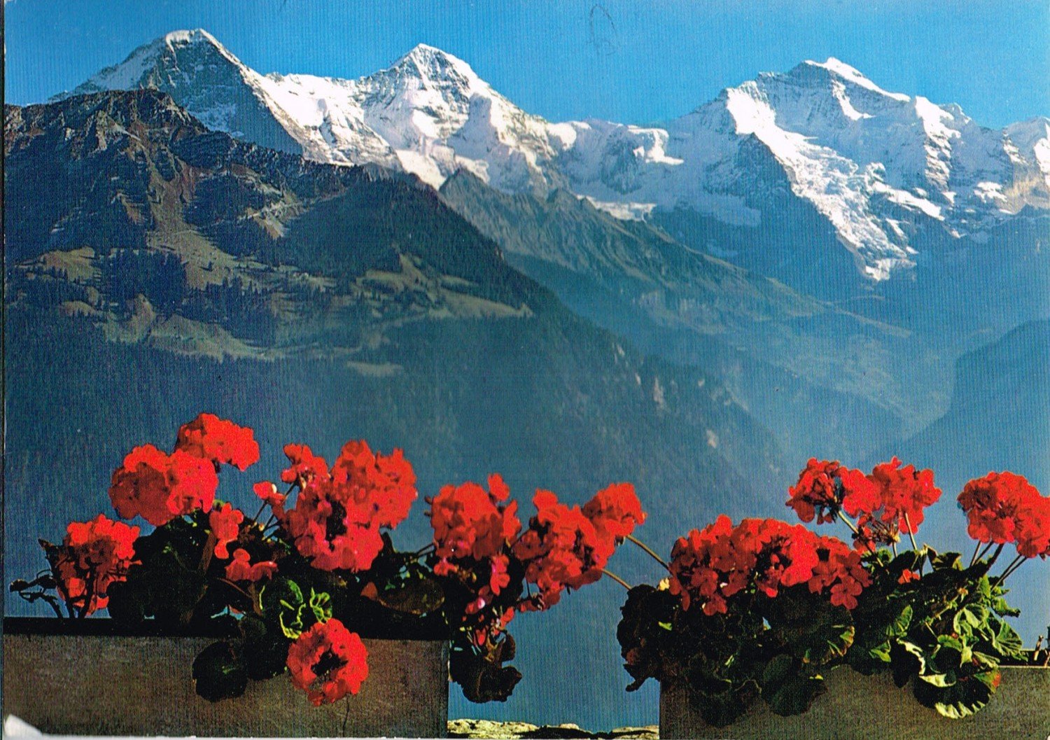 „Postkarte: Eiger, Mönch und Jungfrau - Blick vom …“ – Bücher gebraucht ...