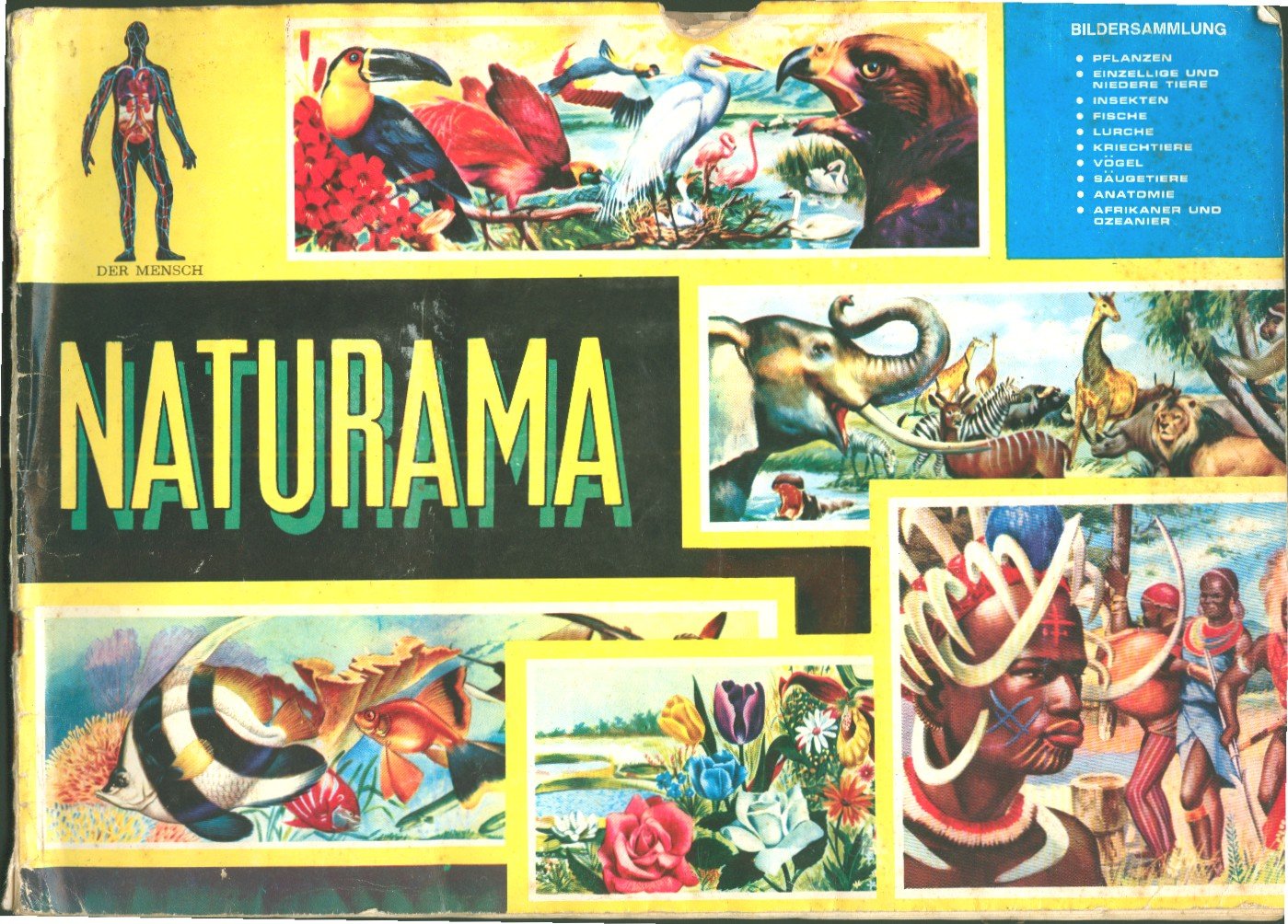 „Naturama“ – Buch antiquarisch kaufen – A02fSgVA01ZZD