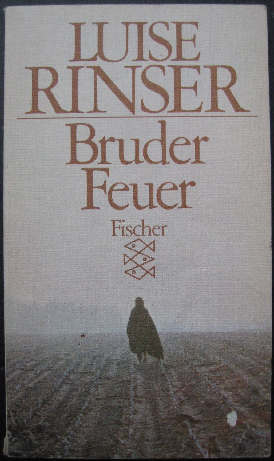 ISBN 3596221242 "Bruder Feuer" – gebraucht, antiquarisch & neu kaufen