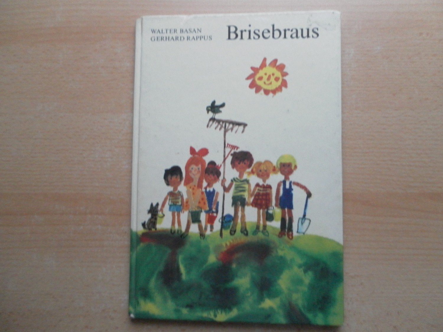 „Basan Walter / Rappus Gerhard“ – Bücher gebraucht, antiquarisch & neu ...