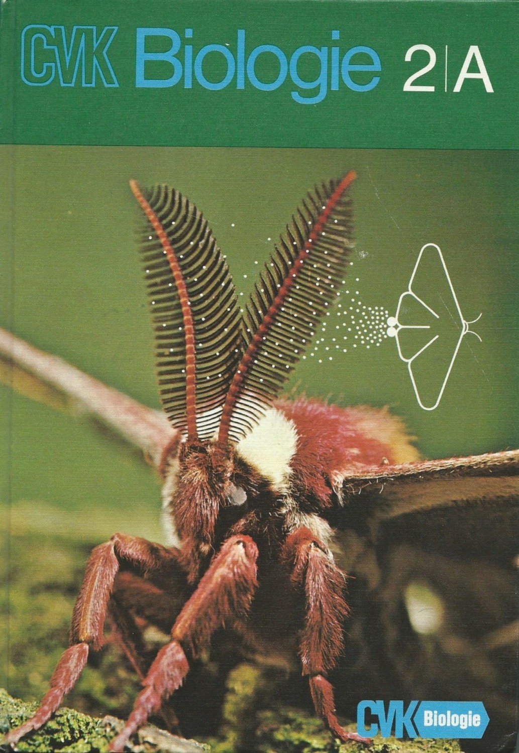 „Biologie 2 / A“ – Bücher gebraucht, antiquarisch & neu kaufen