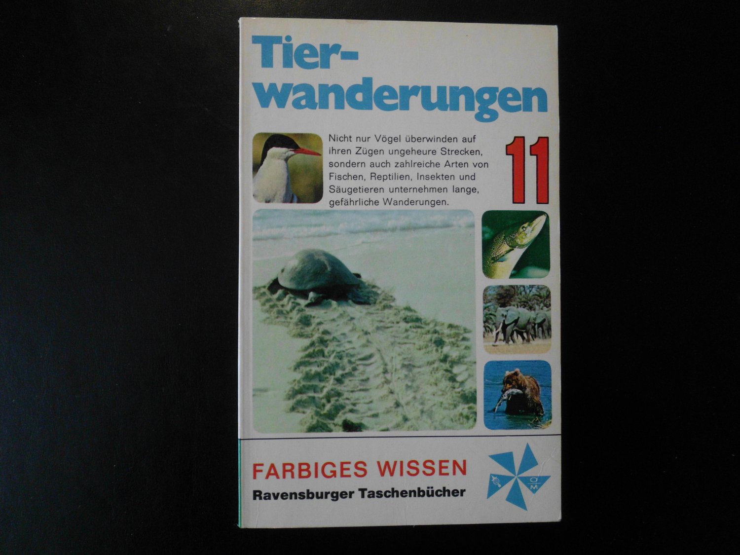 „Richard A. Martin, Tierwanderungen - Zu Wasser zu Lande und in der ...