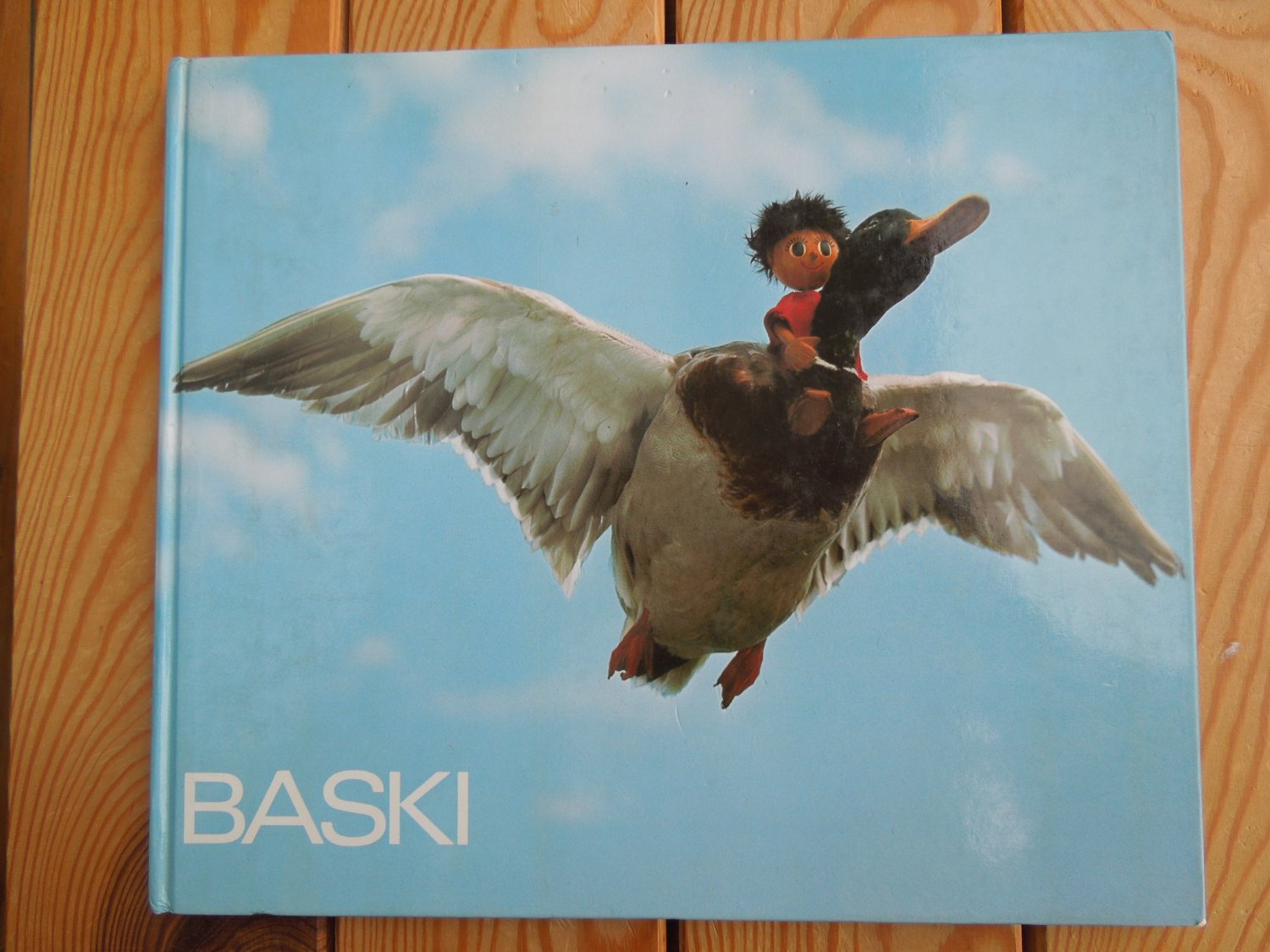 „Heinrich Gohl/Martin Hächler“ – Bücher gebraucht, antiquarisch & neu ...