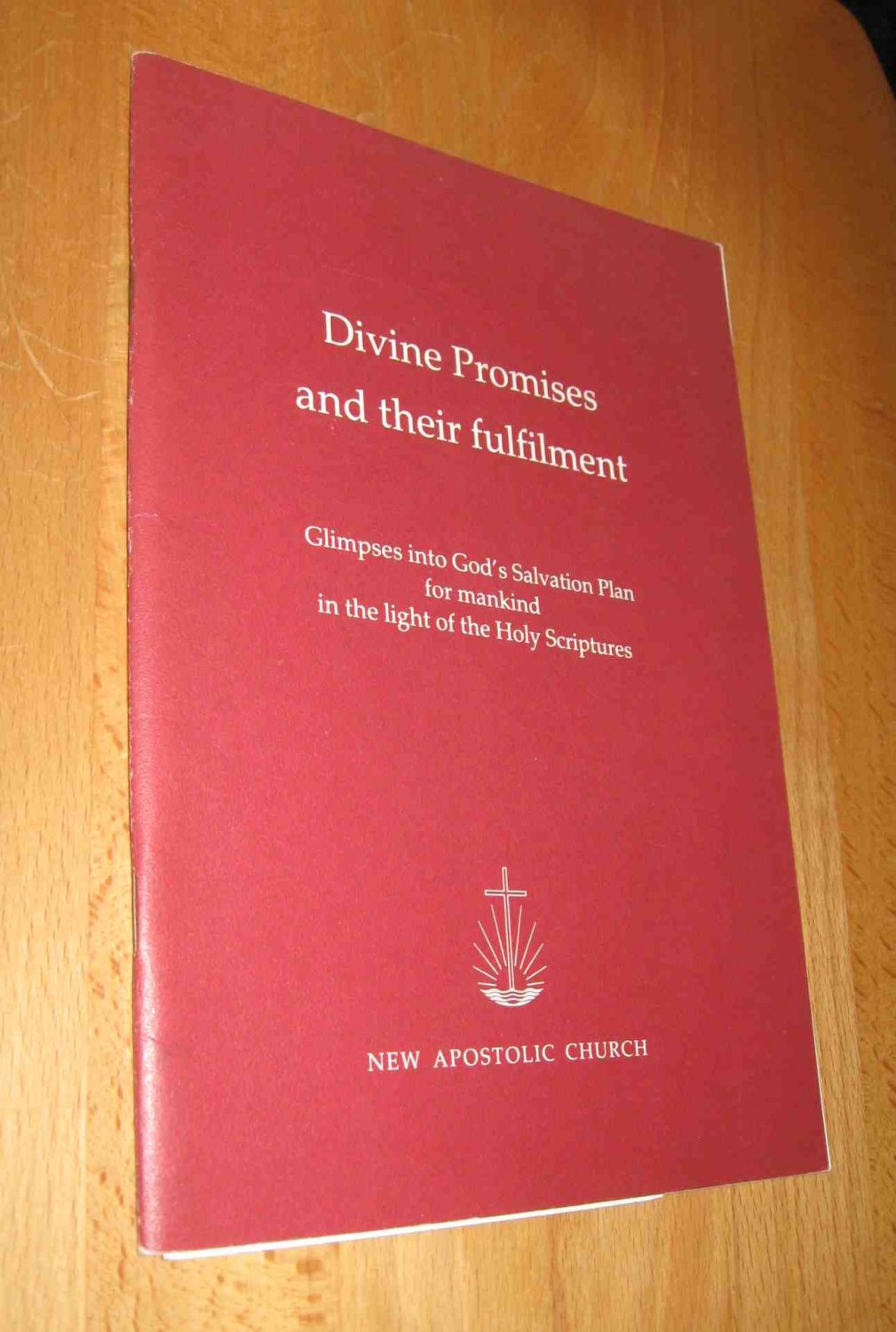 Divine New Chinese Anime Divine Lord Of The Heavens + Poster And