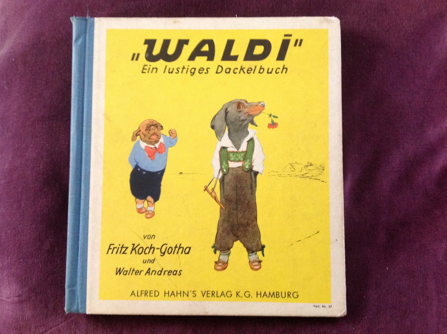 „Waldi“ – Bücher gebraucht, antiquarisch & neu kaufen