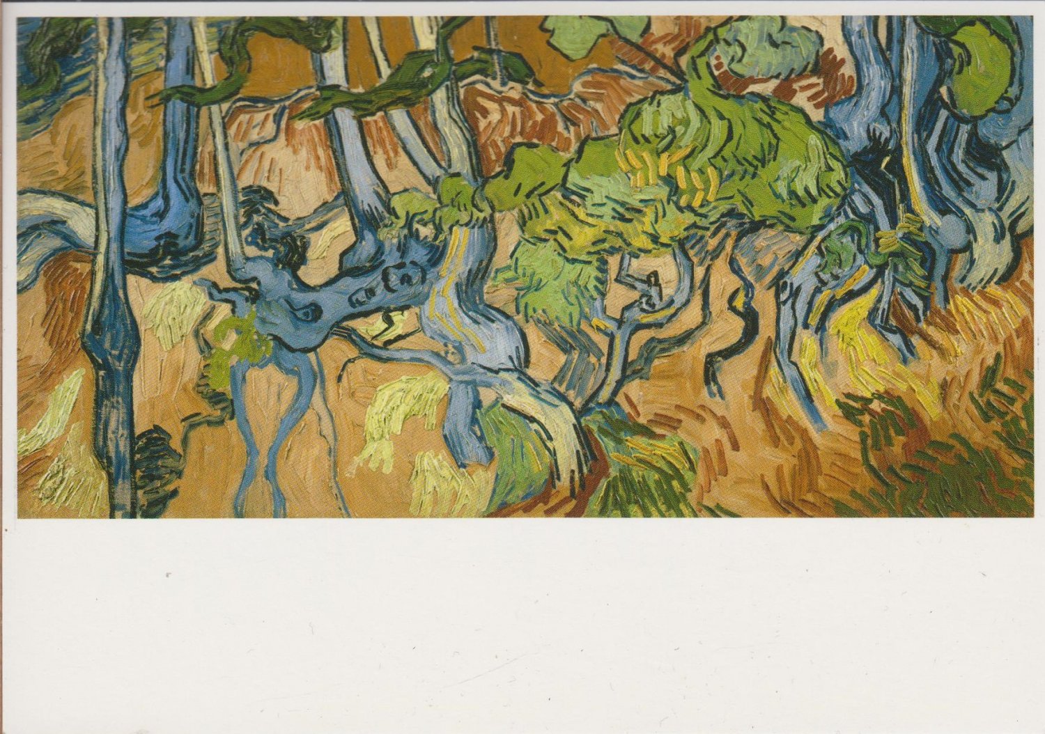 „Postkarte - Vincent van Gogh Tree-roots 1890“ – Buch gebraucht kaufen ...