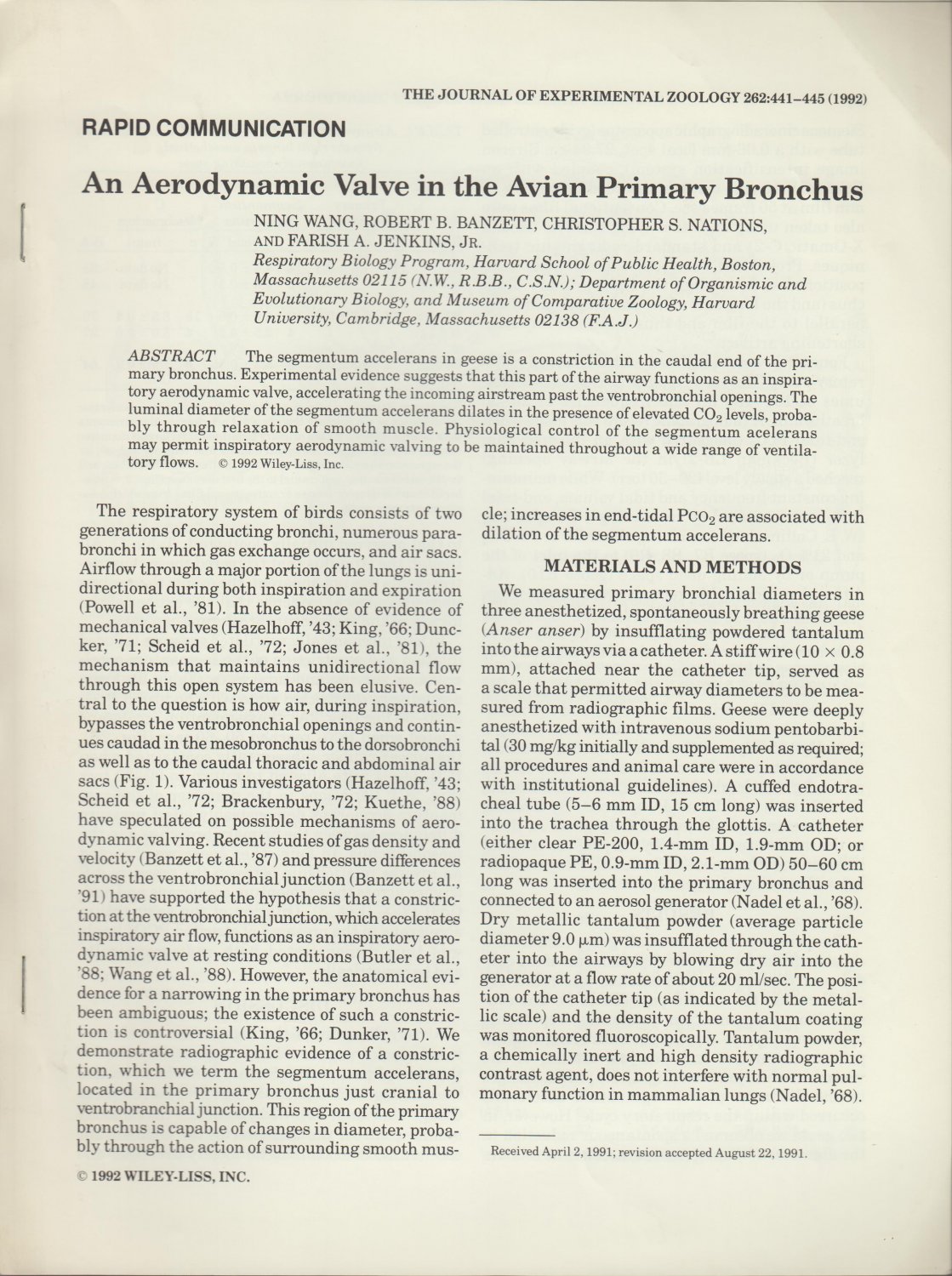 „Ning Wang“ – Bücher gebraucht, antiquarisch & neu kaufen