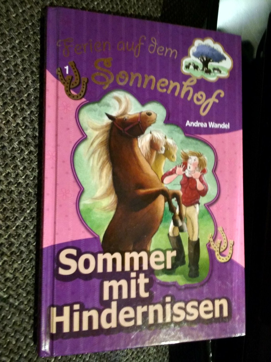 „Andrea Wandel“ – Bücher gebraucht, antiquarisch & neu kaufen