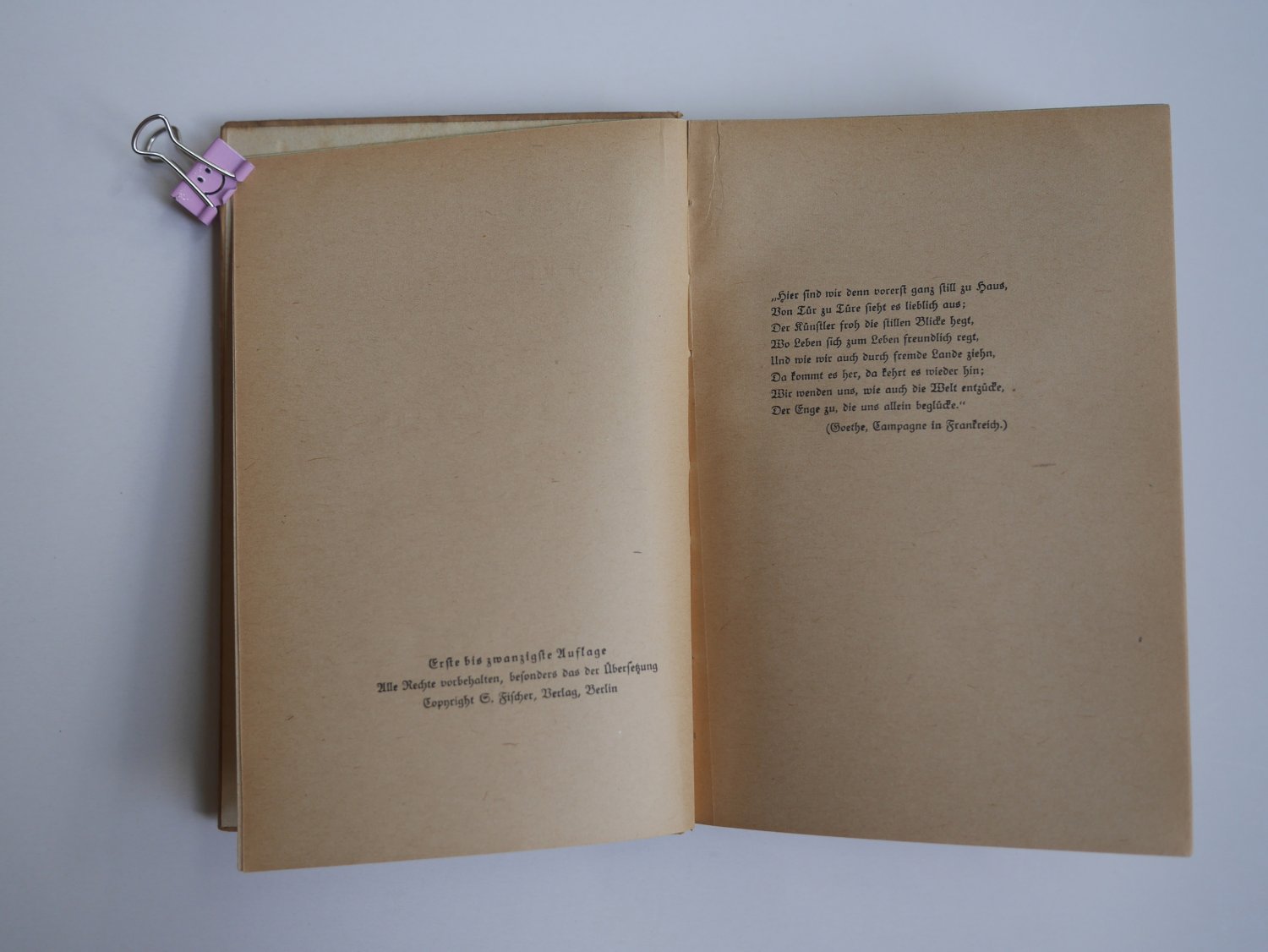 „Thomas Mann Herr und Hund Gesang vom Kindchen Idyllen“ – Bücher ...