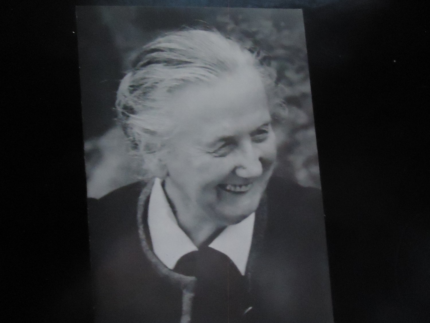 „Mutter Gabriele Bitterlich - Gedenkbild“ – Buch gebraucht kaufen ...