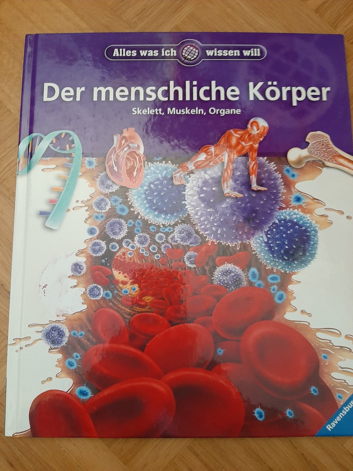 „Der menschliche Körper“ – Buch gebraucht kaufen – A02ugXQv01ZZv