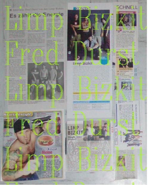 „Limp Bizkit Sammlung, Pressematerial Presse Clippings …“ – Buch gebraucht kaufen – A02xj66N01ZZg