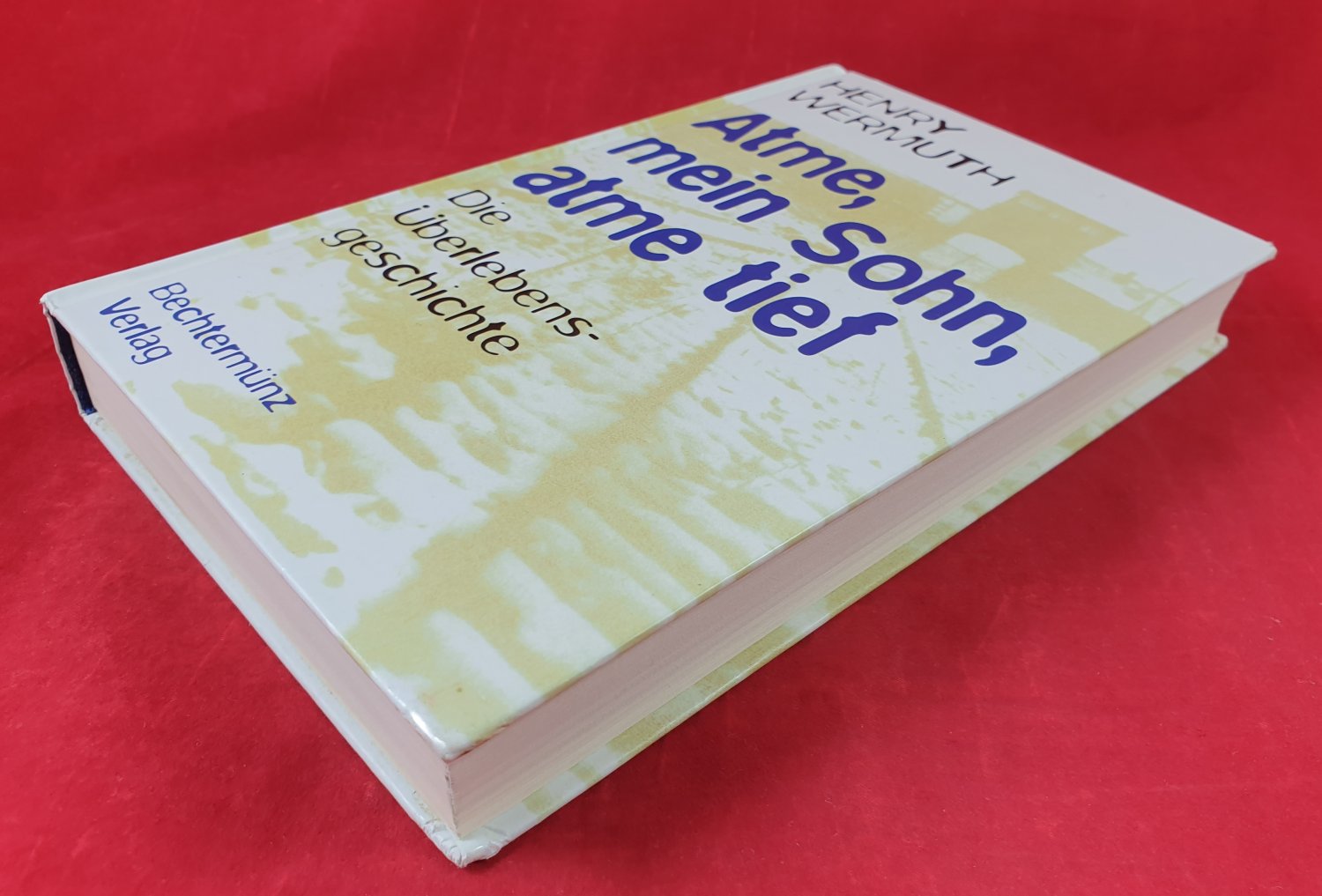 ISBN 382890131X – gebraucht, antiquarisch & neu kaufen