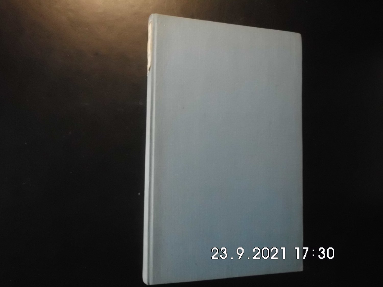 „Der Gouverneur oder der glückselige Schuldner“ (Edzard Schaper) – Buch ...