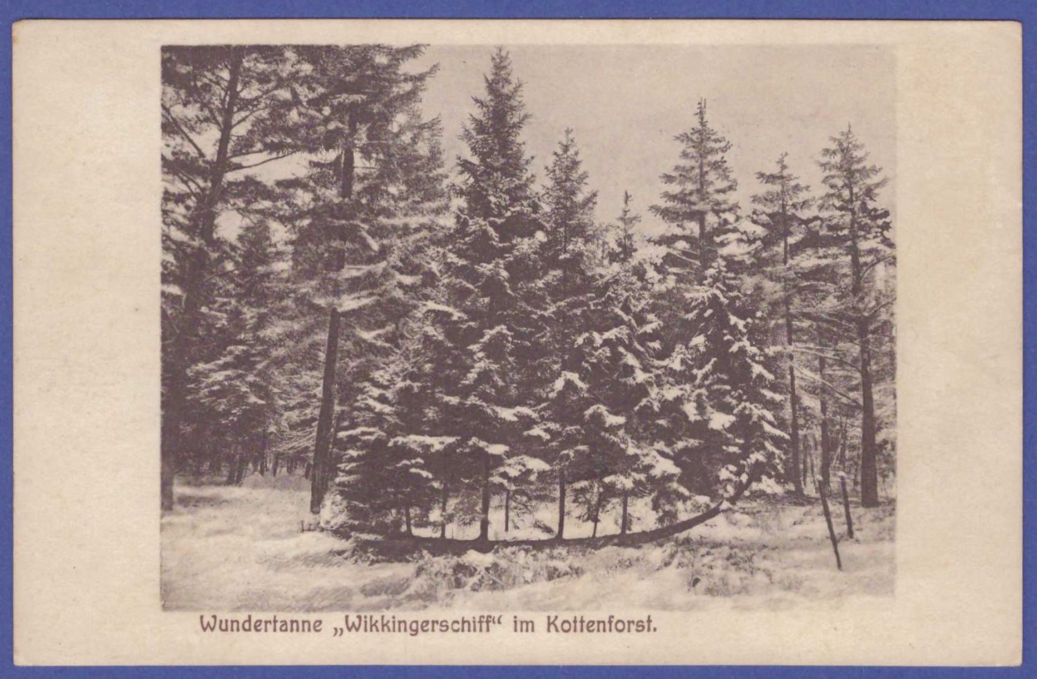 „AK Wundertanne Wikingerschiff im Kottenforst bei Bonn, …“ – Buch ...