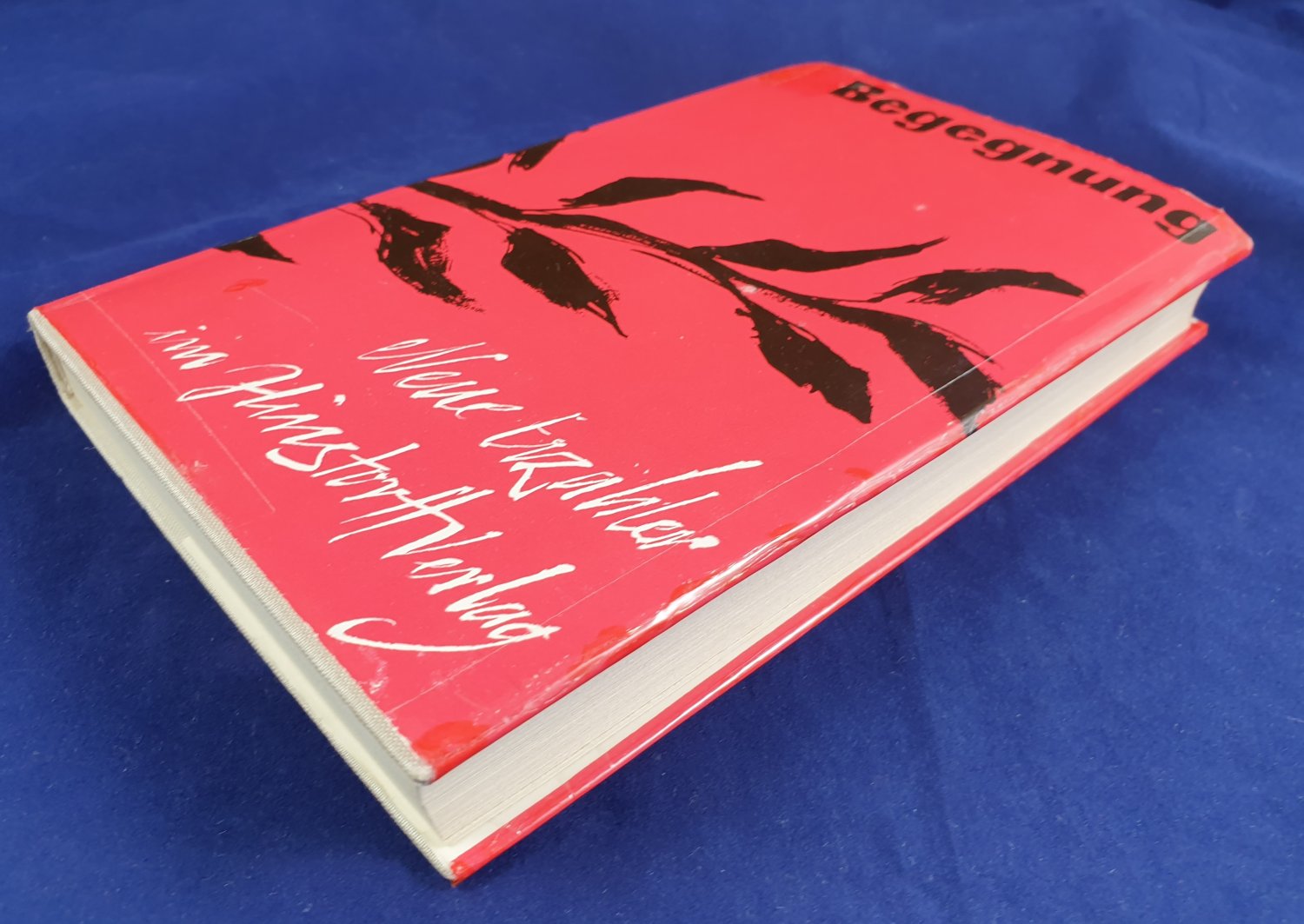 „Begegnung/ Anthologie neuer Erzähler“ – Buch antiquarisch kaufen ...