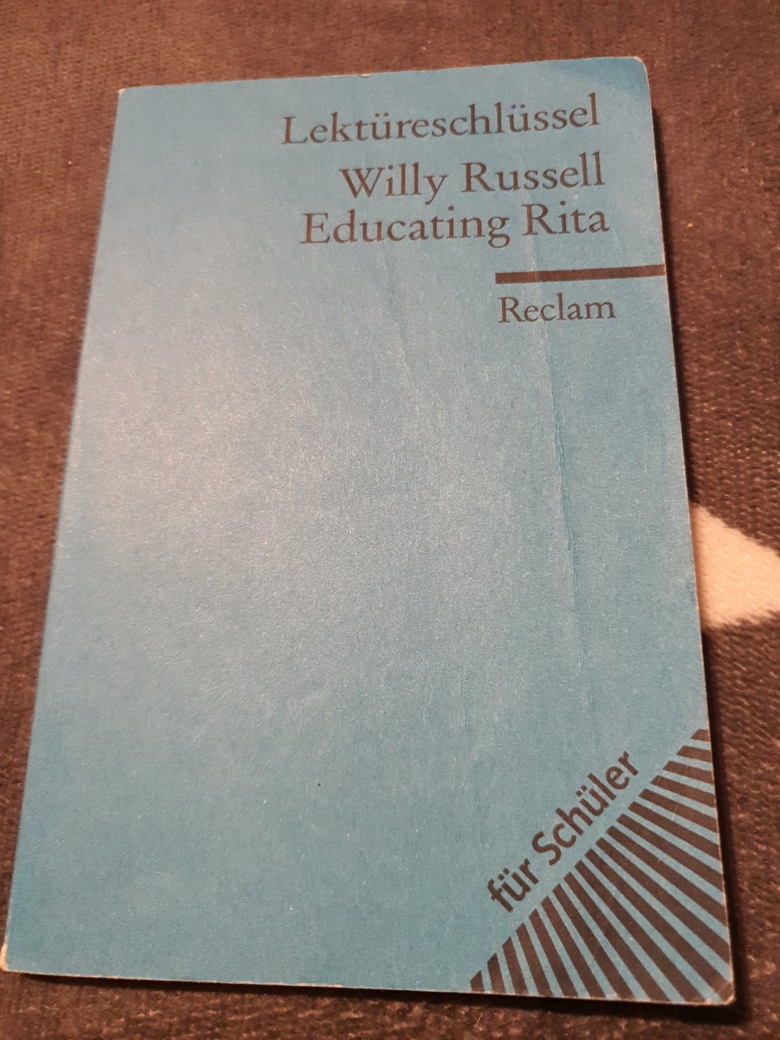 „Reitz,Bernhard“ – Bücher gebraucht, antiquarisch & neu kaufen