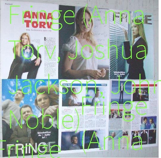 „Fringe - Grenzfälle des FBI (Anna Torv, Joshua Jackson …“ – Buch ...