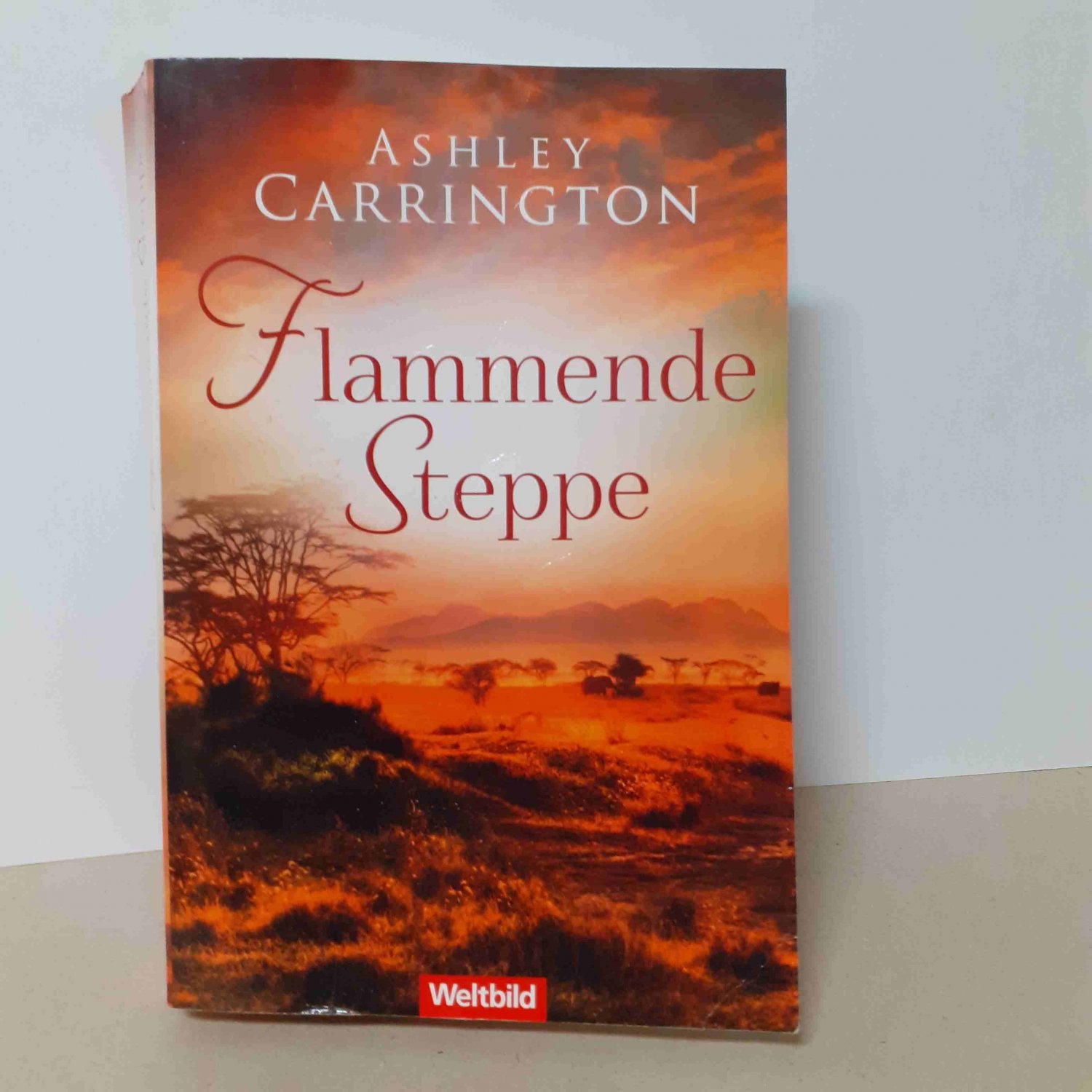 ISBN 9783985072088 – gebraucht, antiquarisch & neu kaufen